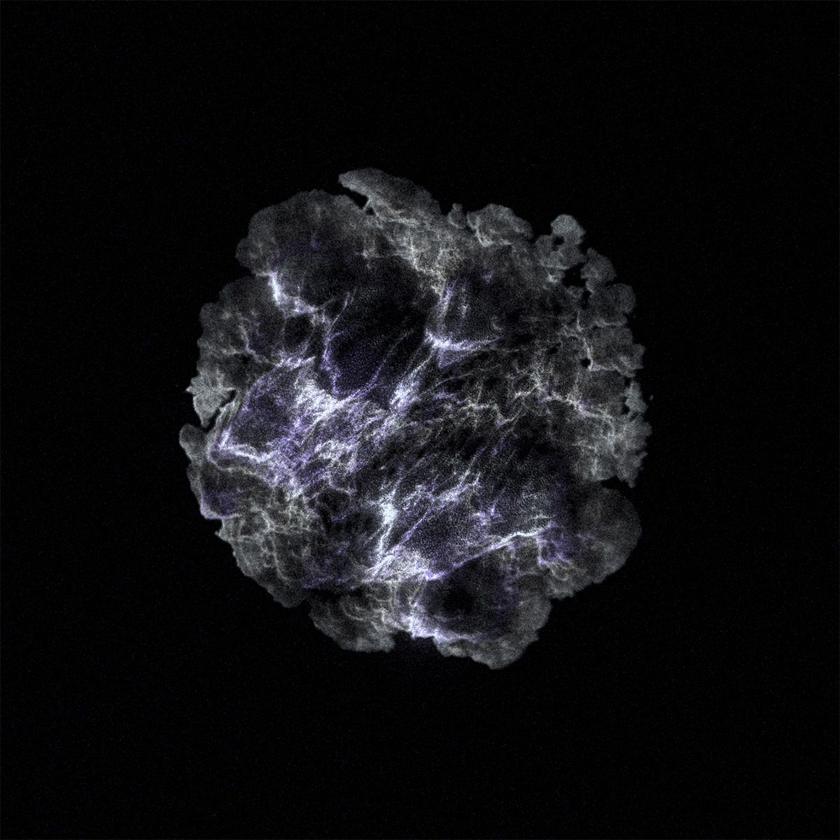 RORO and snapir share 'Fractures' from upcoming 'Colors Left' album ...